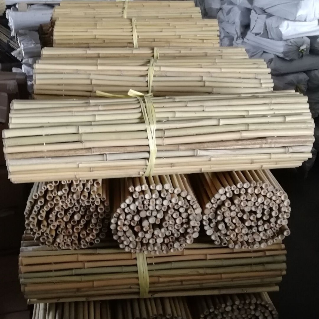 KingNote Premium Thick Diameter Bamboo Fencing (21-27mm)