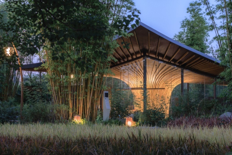 Embracing Bamboo in Modern Architecture: Sustainability and Innovation