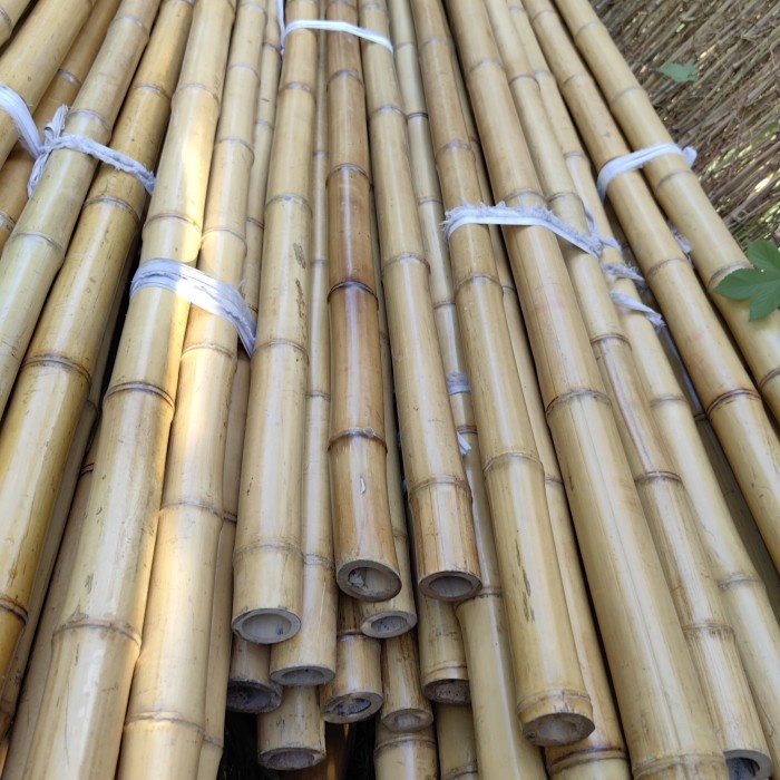 Sustainable and Strong Treated Bamboo for Exterior Use | Perfect for ...