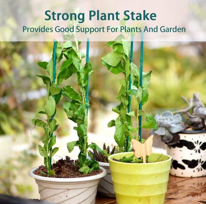 Premium Color-Dyed Green Bamboo Sticks – Versatile Plant Support for ...