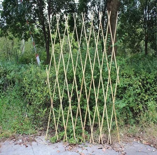 Bamboo Garden Fencing Solutions
