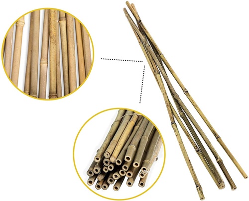 Durable Bamboo Canes for Horticultural and Agricultural Use