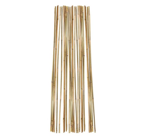 Durable Bamboo Canes for Horticultural and Agricultural Use