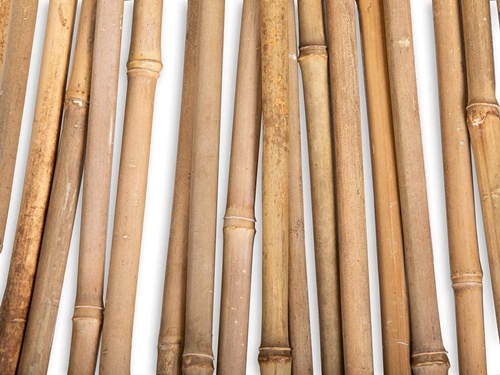 Durable Bamboo Canes for Horticultural and Agricultural Use