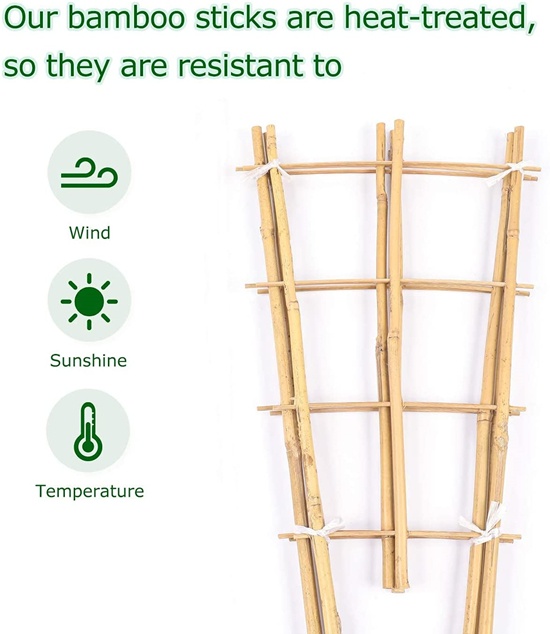Natural Bamboo Fan-Shaped Trellis: Ideal for Supporting Climbing ...