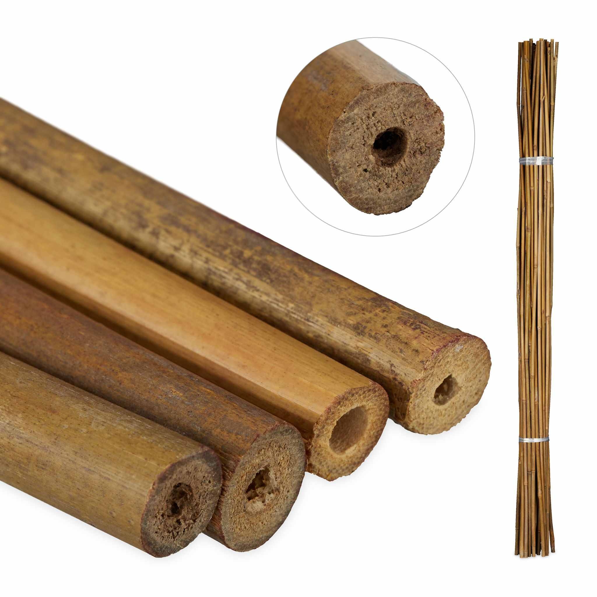 🌿🌼 Enhance Your Garden with Natural Bamboo Plant Supports 🌼🌿