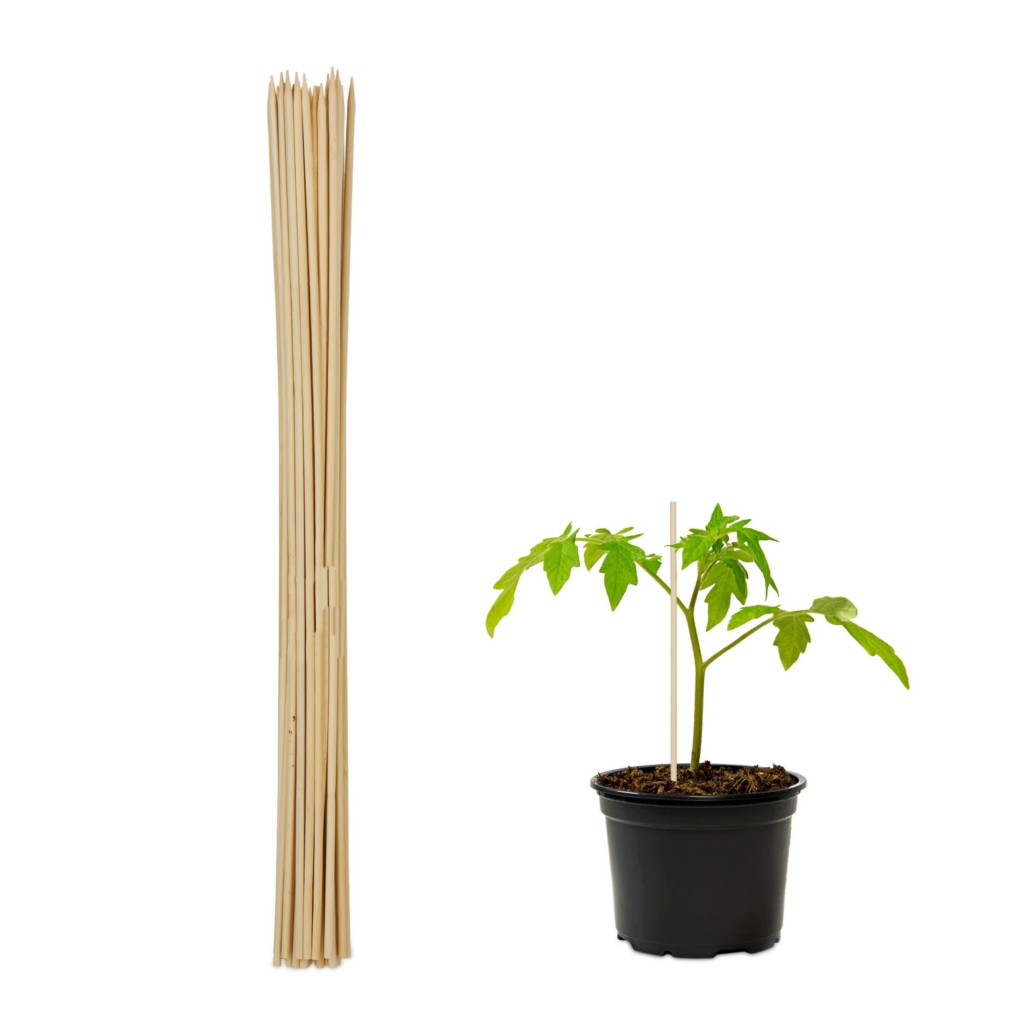 Maximize Your Garden’s Potential with Our Bamboo Support Sticks ...