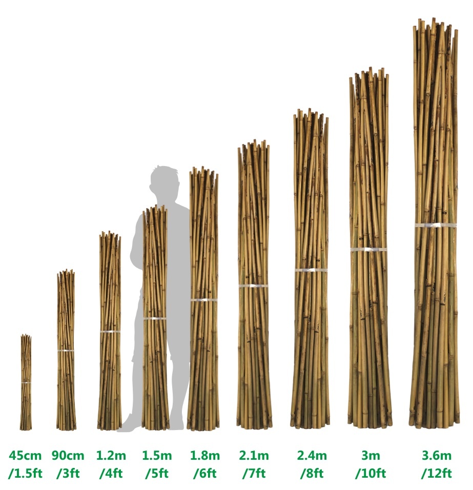 Unleash Your Creativity with Versatile Bamboo Poles